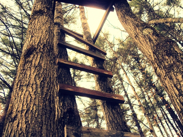 Ladder Symbolism – Whispers, Channels, Prophecies & Visions